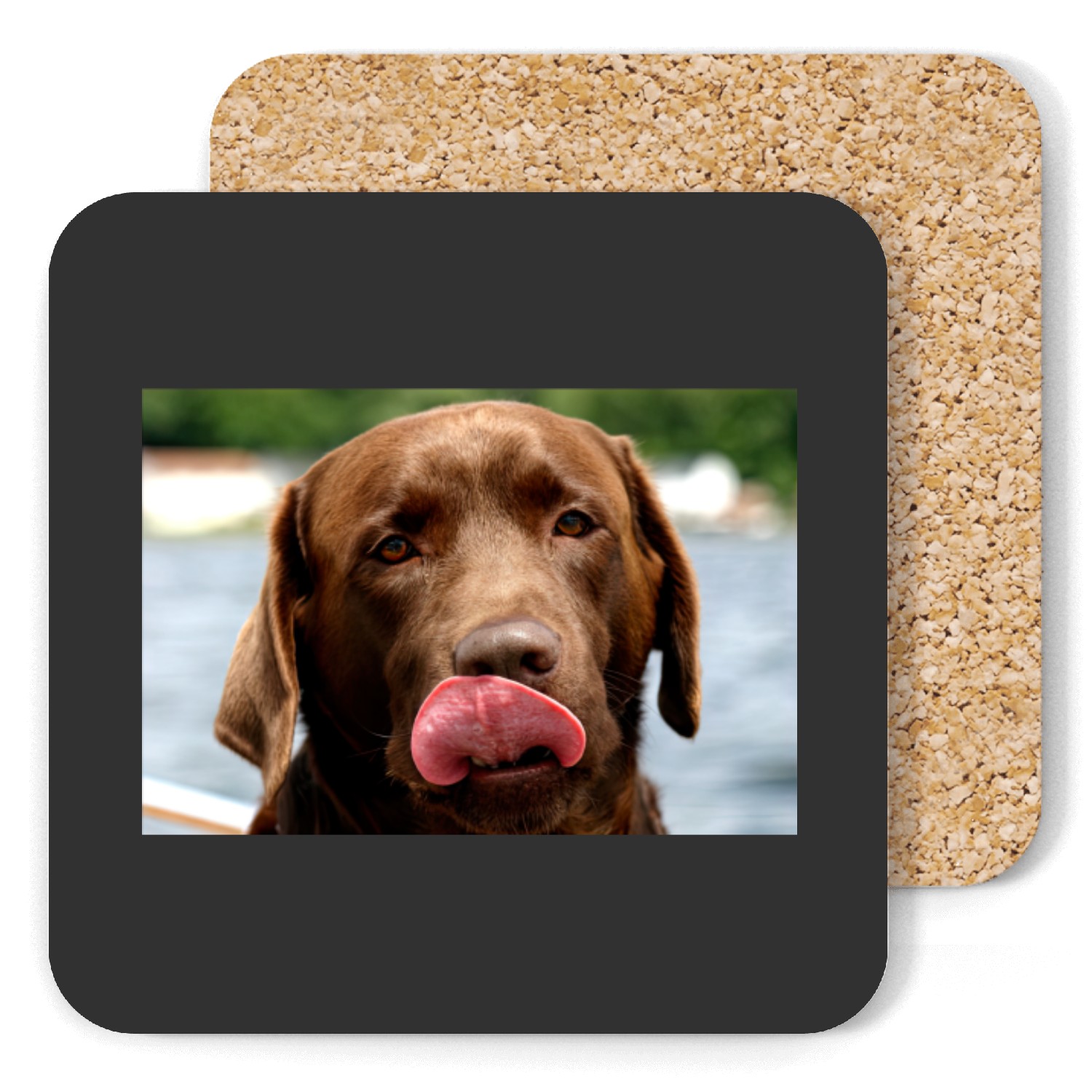 Chocolate Lab - Chocolate Lab - Coasters