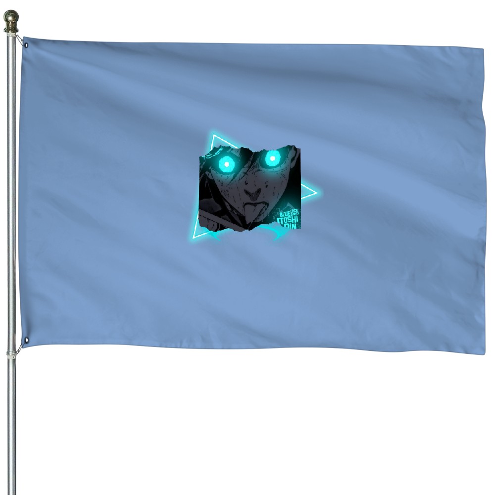 Anime , Manga ,blue Lock,rin Itoshi House Flags