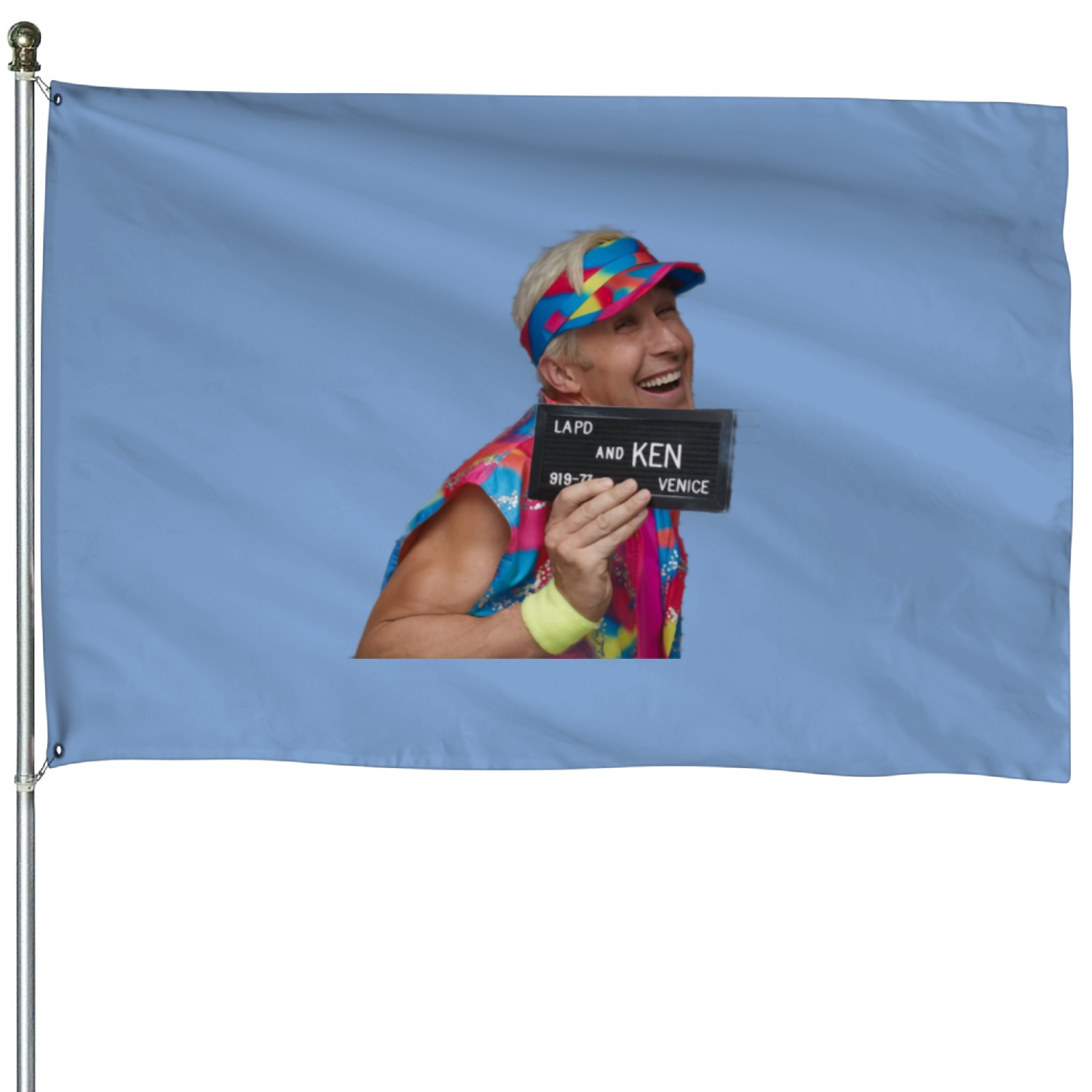 Ryan Gosling And Ken House Flags