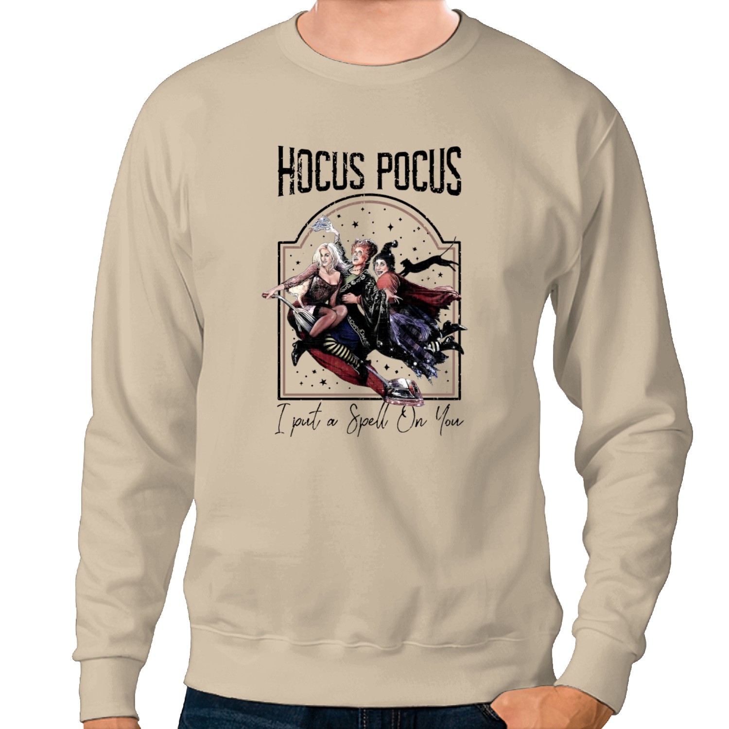 Vintage Hocus Pocus Fall Sweatshirt, Hocus Pocus Sister