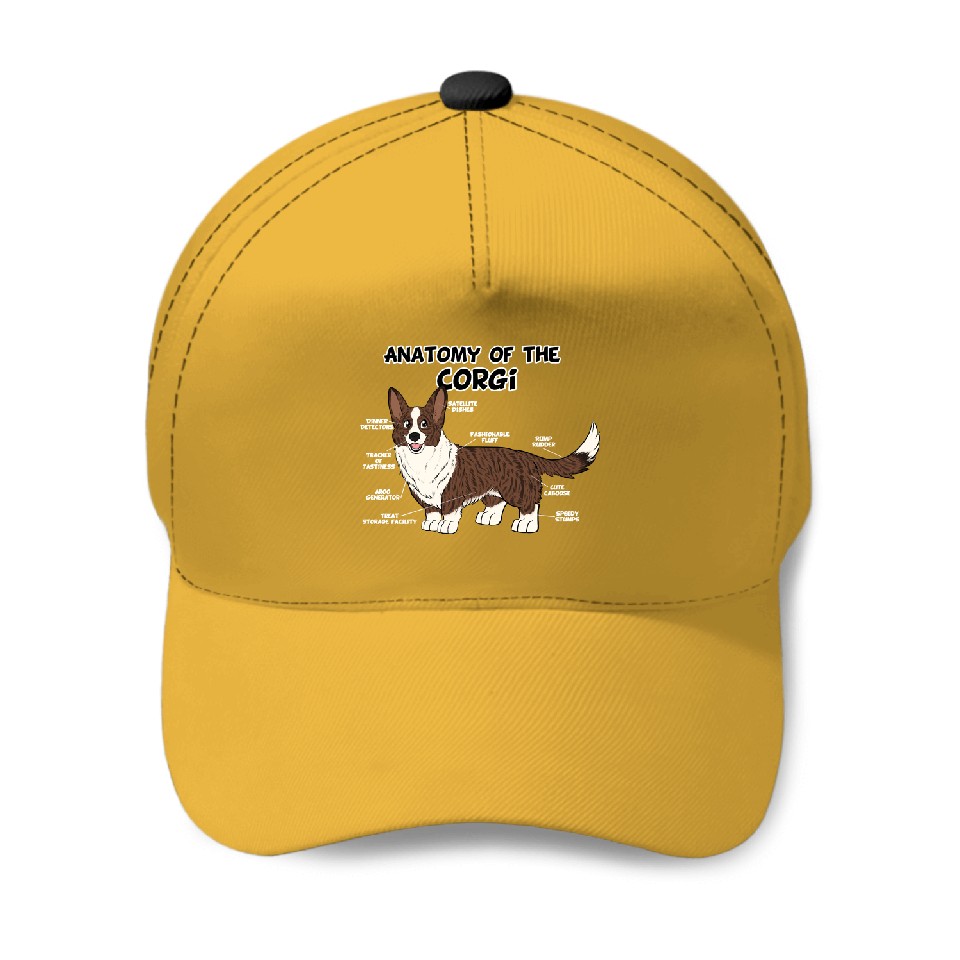 Welsh Corgi Dog Corgis Anatomy Of The Corgicardigan 316 Corgis Baseball ...