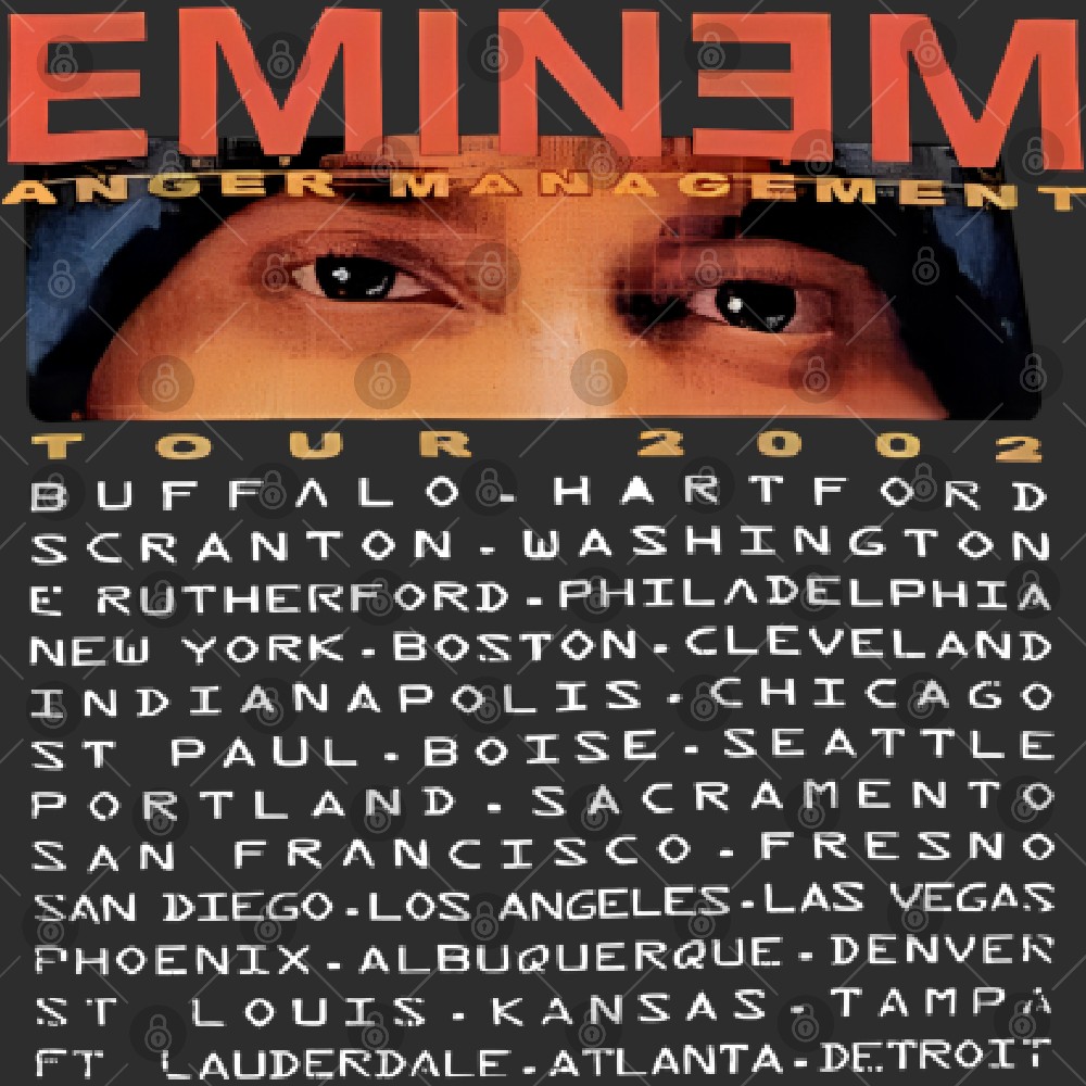 Eminem Anger Management Tour 2002 Vintage Streetwear Hoodie