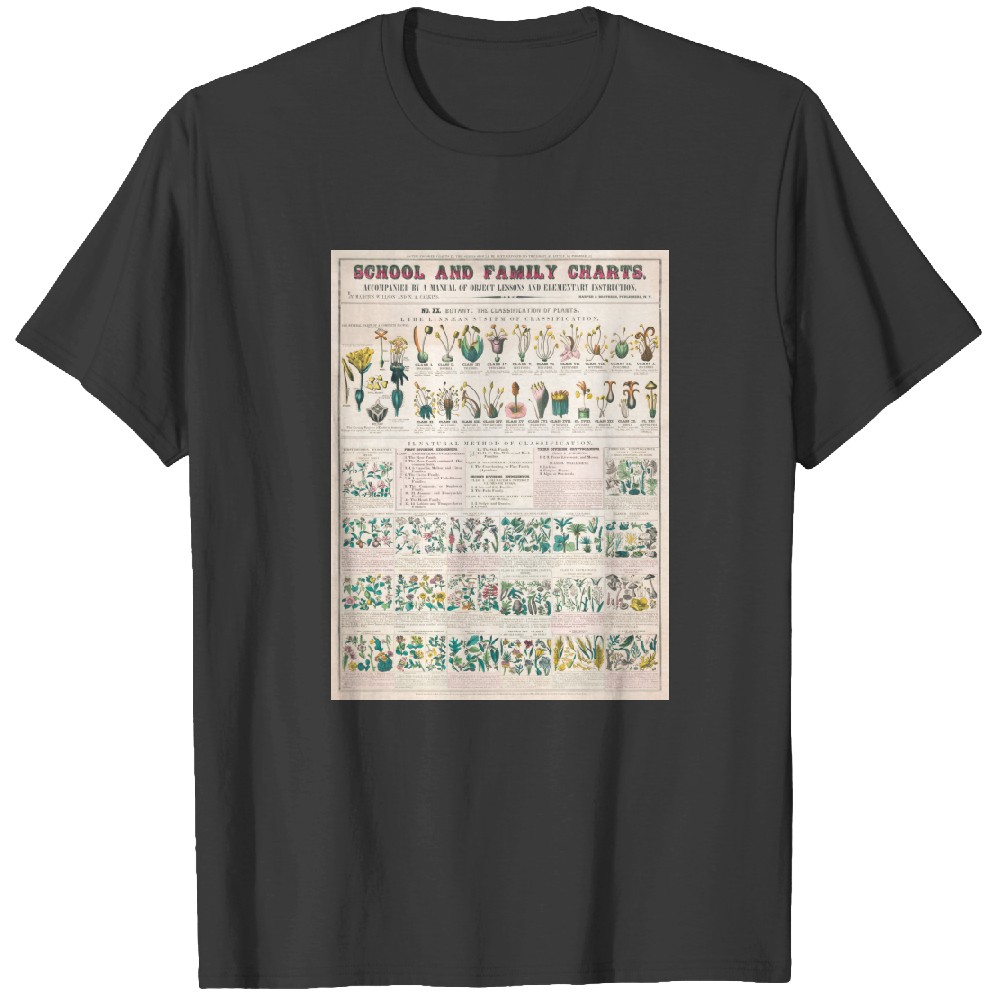 Vintage Botanical Chart: Classification Of Plants T-shirt