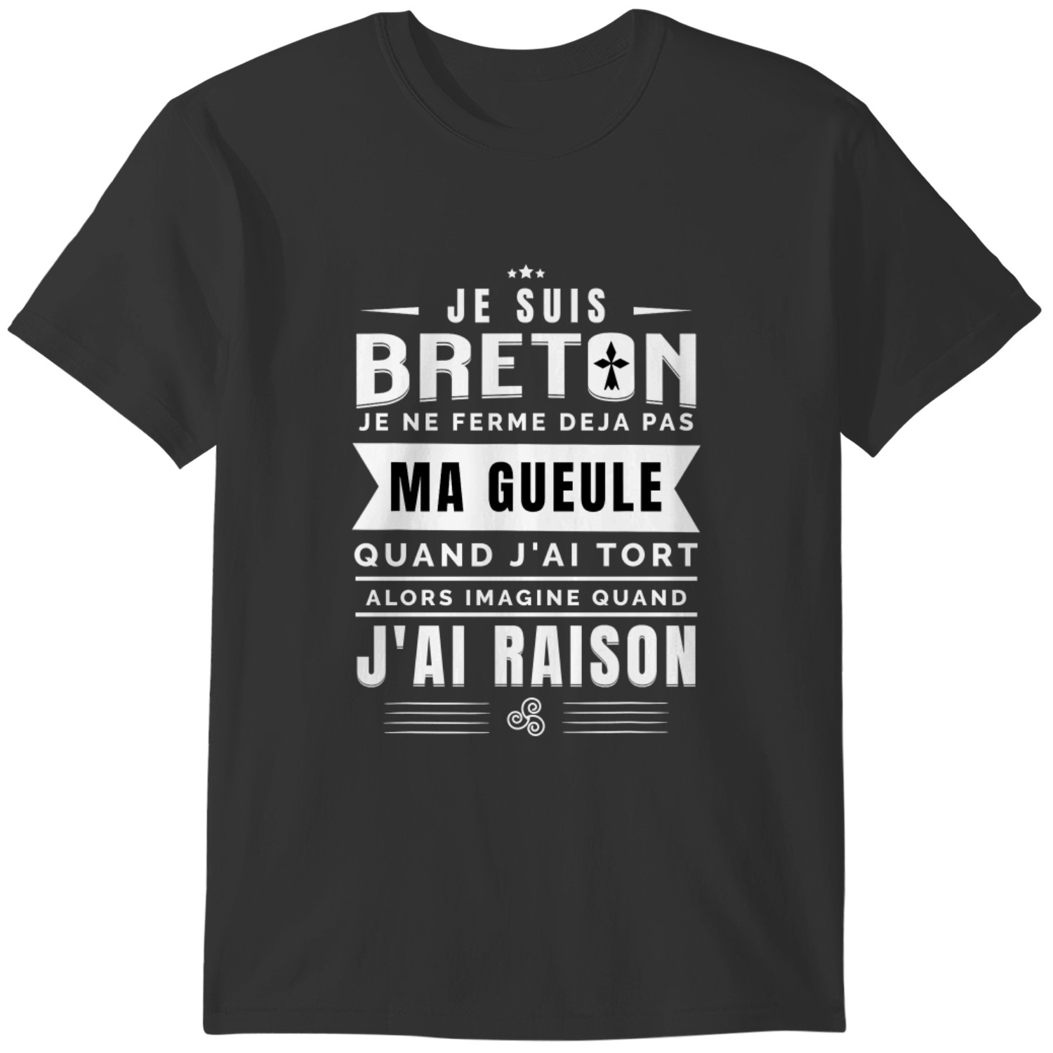Je Suis Breton Hermine Et Triskel Symbole De La Bretagne T-Shirt